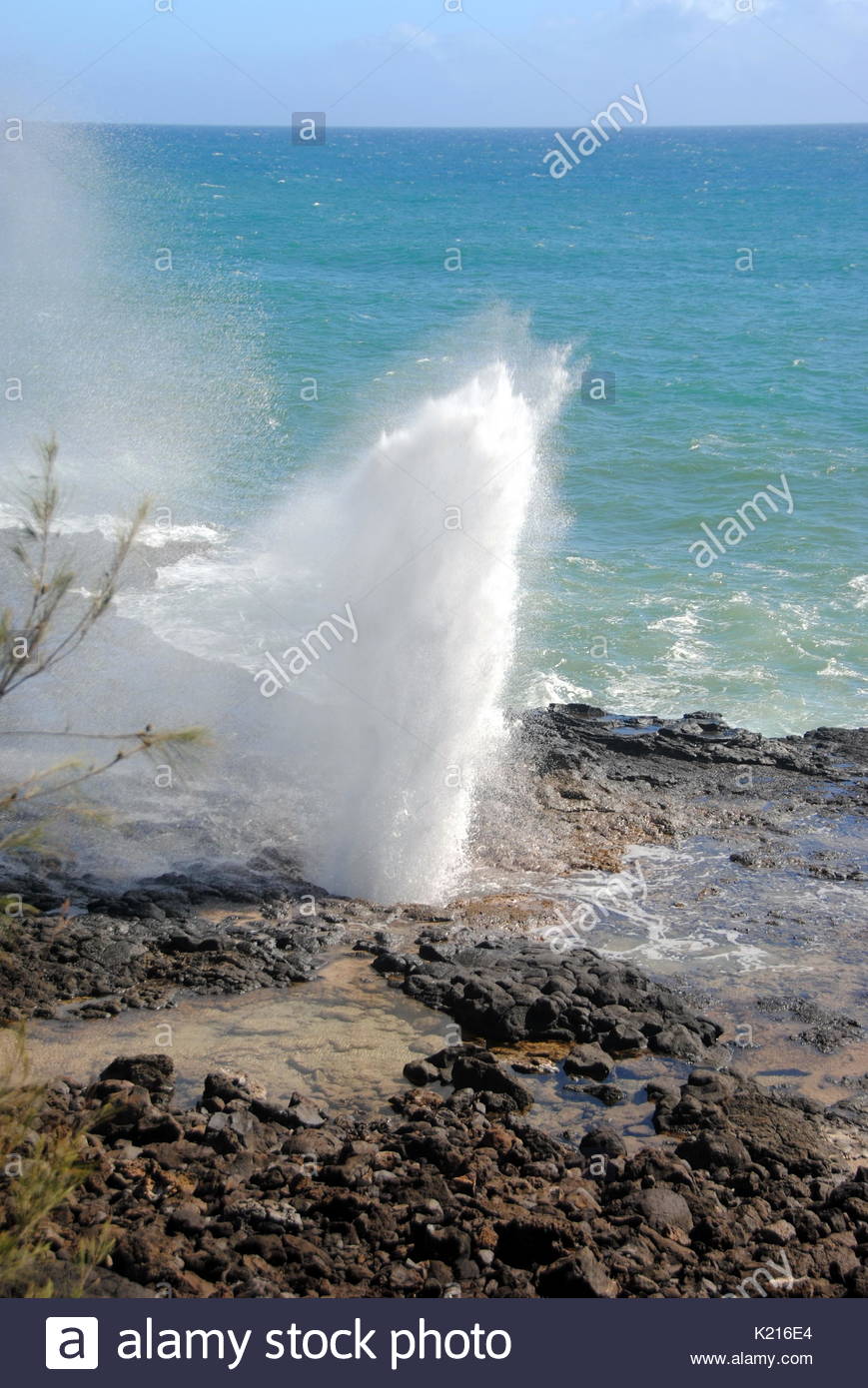 Spouting blowhole hi-res stock photography and images - Alamy