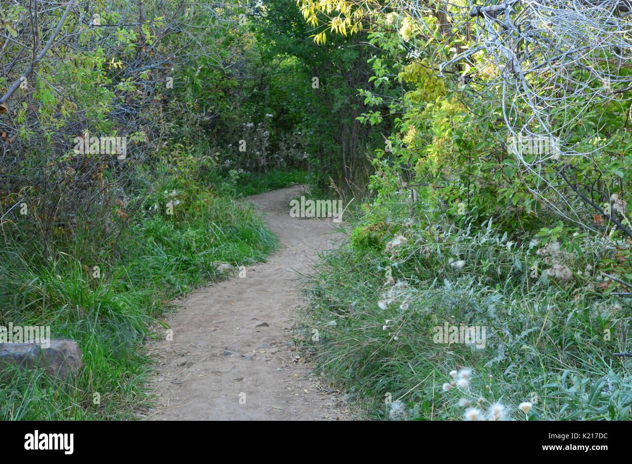 Magic dust trail hi-res stock photography and images - Alamy