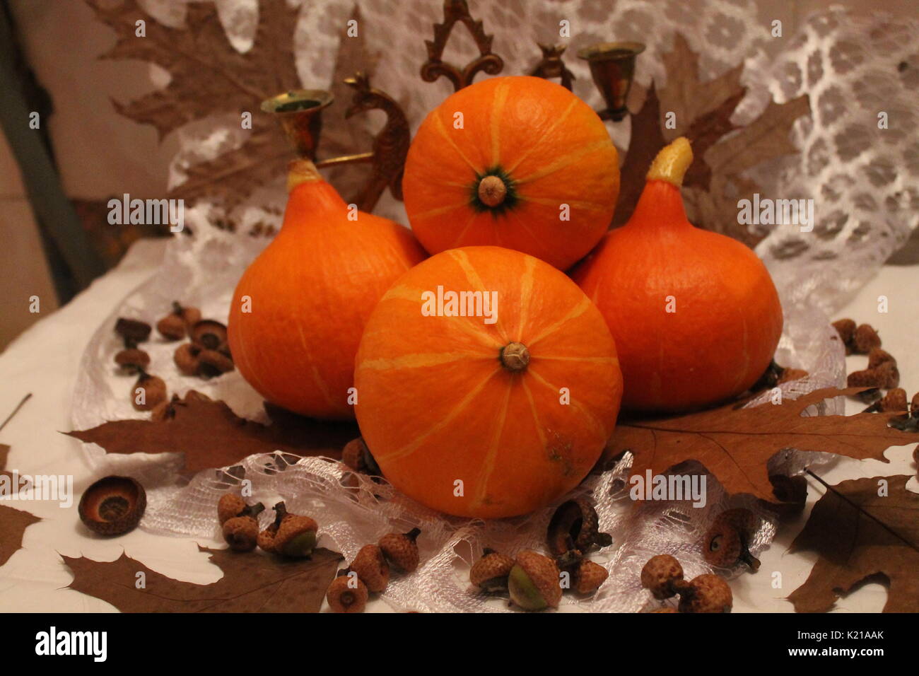 little bright orange color sweet pumpkins lay on autumn dry foliage ...