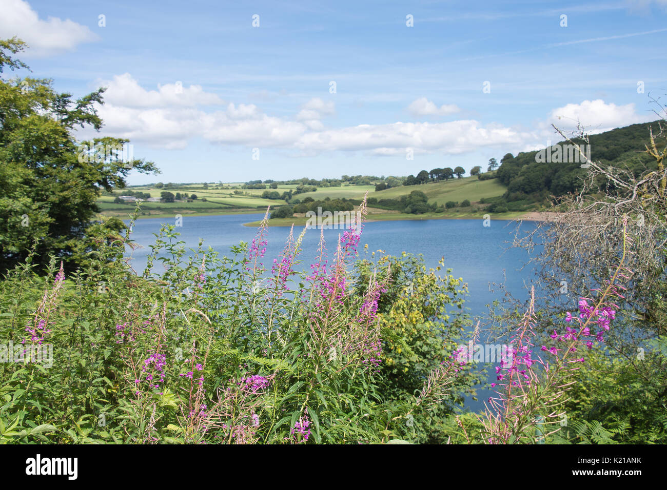 beautiful day at Wimbleball reservior, devon Stock Photo - Alamy
