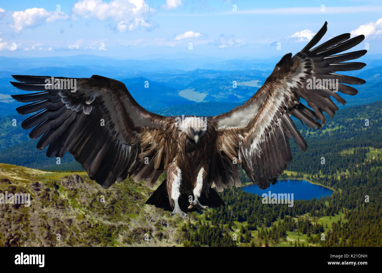 Flying griffin against mountains background Stock Photo - Alamy