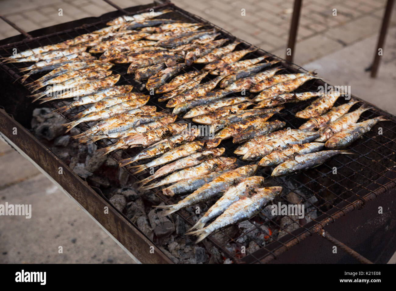 national catalon dish of small fried sardines sardinada preparation ...