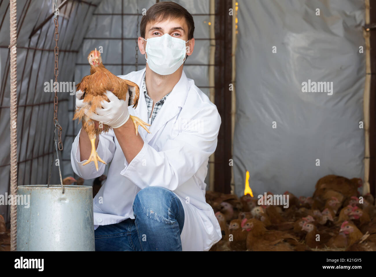American man veterinarian wearing hi-res stock photography and images ...