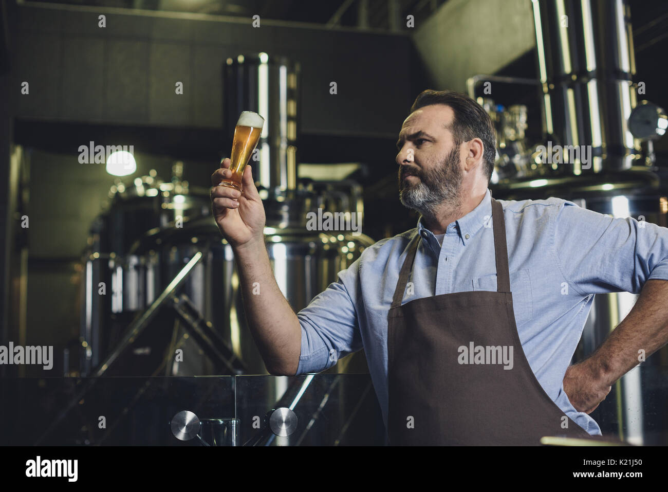 Male brewery worker examining small glass of beer Stock Photo - Alamy