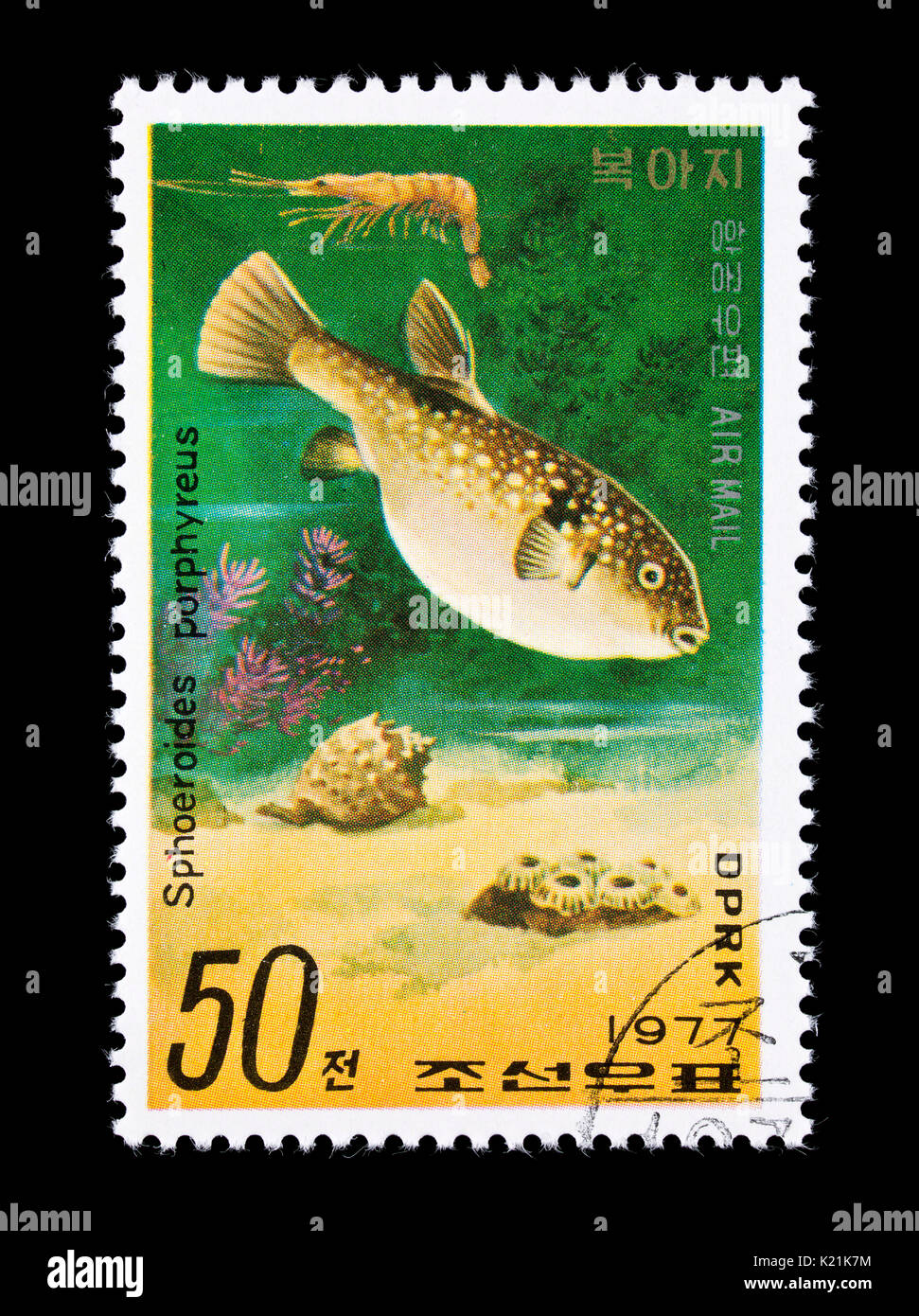 Postage stamp from North Korea depicting a pufferfish (Sphereoides ...