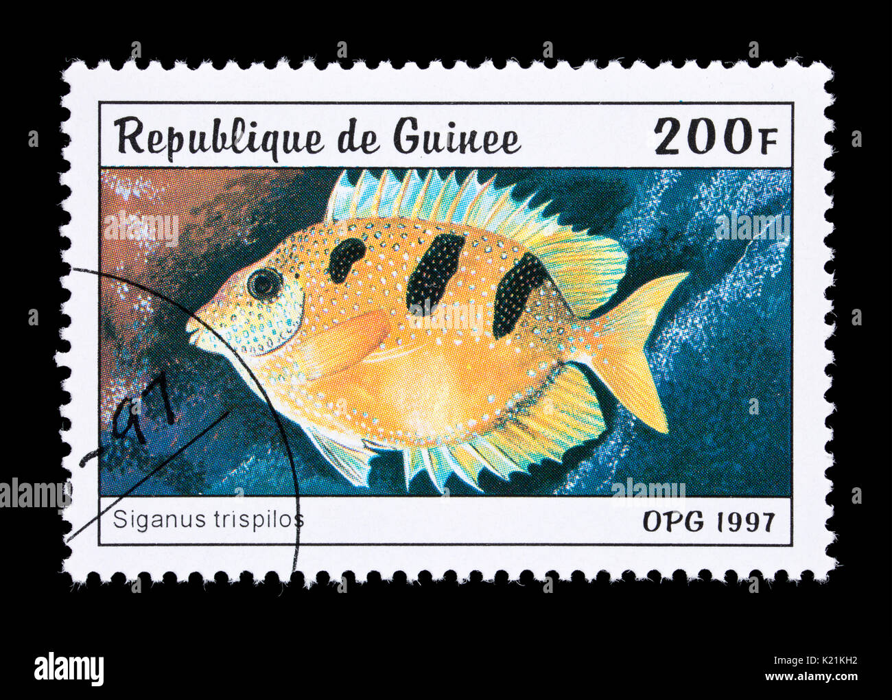 Postage stamp from Guinea depicting a Threeblotched rabbitfish (Siganus ...