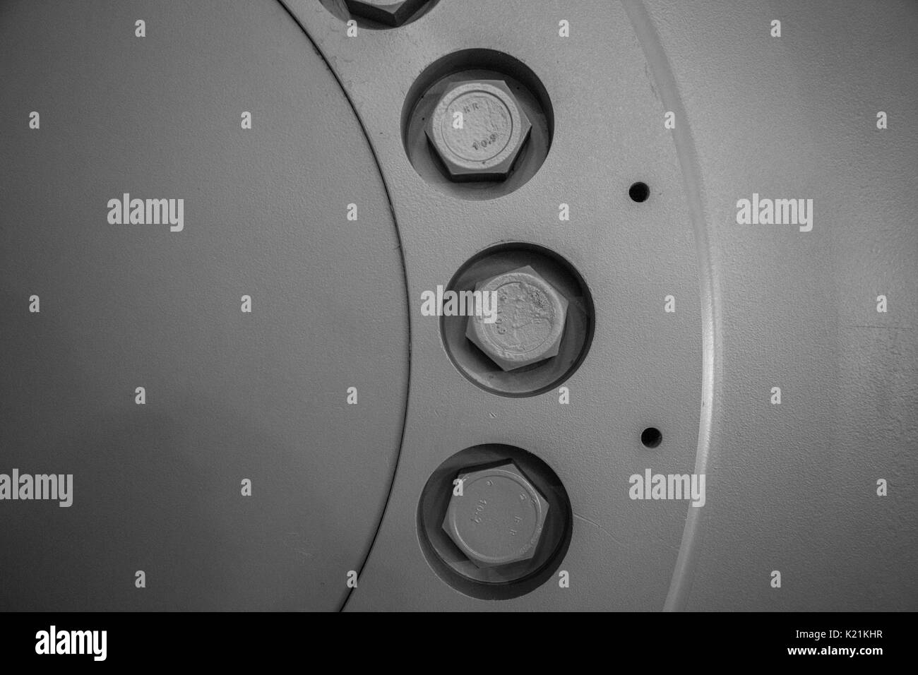 Plante texture hi-res stock photography and images - Alamy