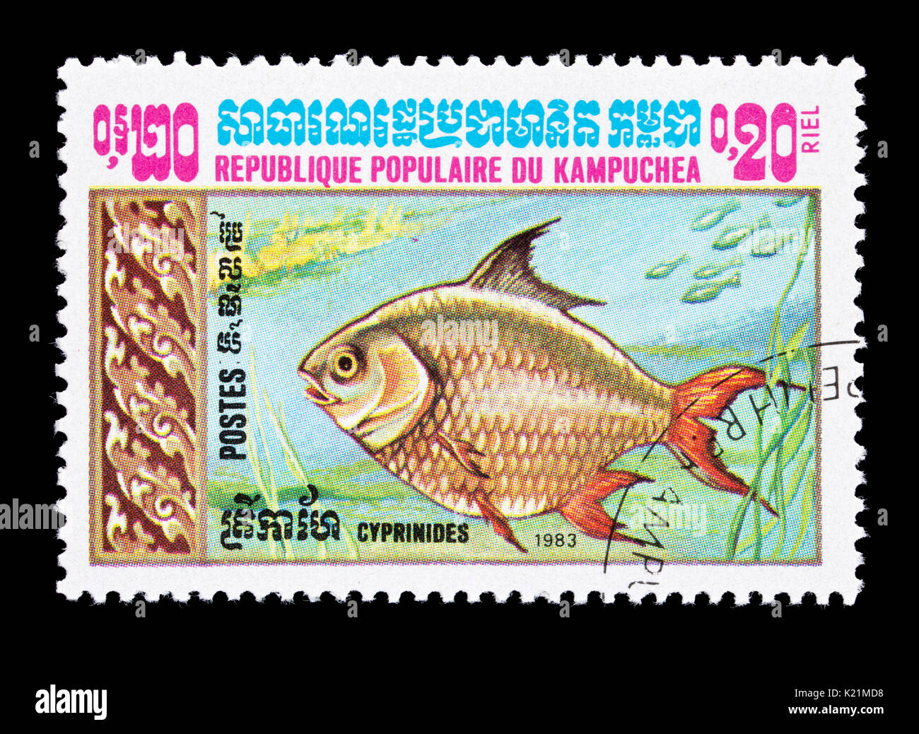 Postage stamp from Cambodia (Kampuchea) depicting a cyprinidae fish ...