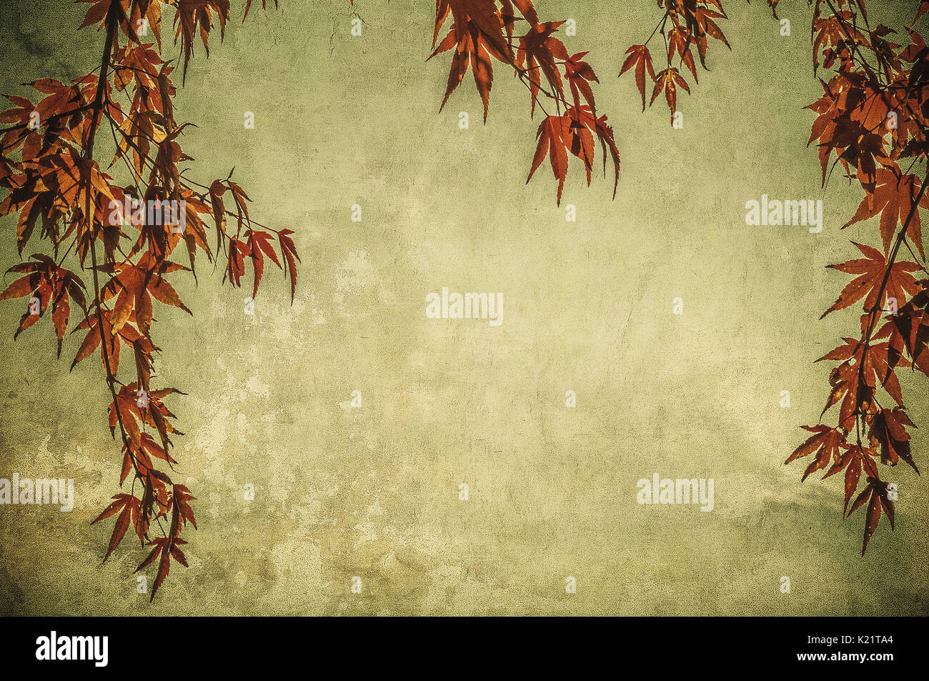 grunge background with autumn leaves Stock Photo - Alamy