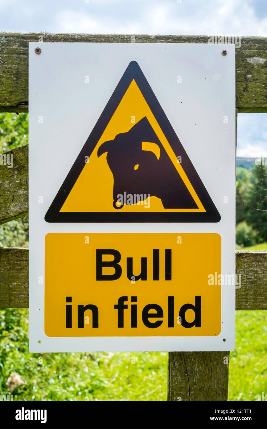 Bull in field sign hi-res stock photography and images - Alamy