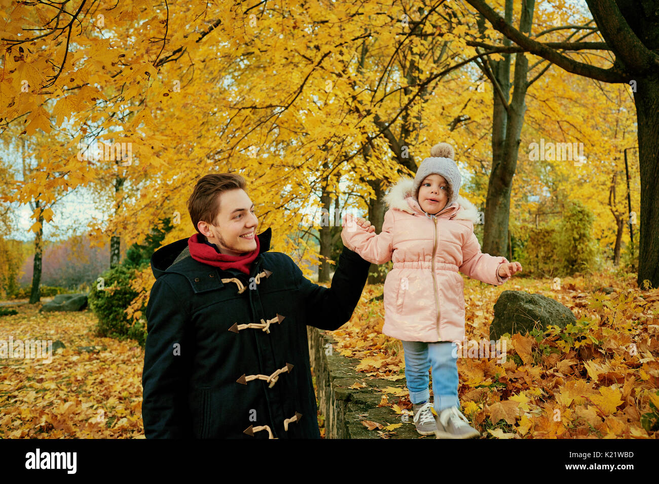 A father walks with a child daughter in the park in the fall Stock ...