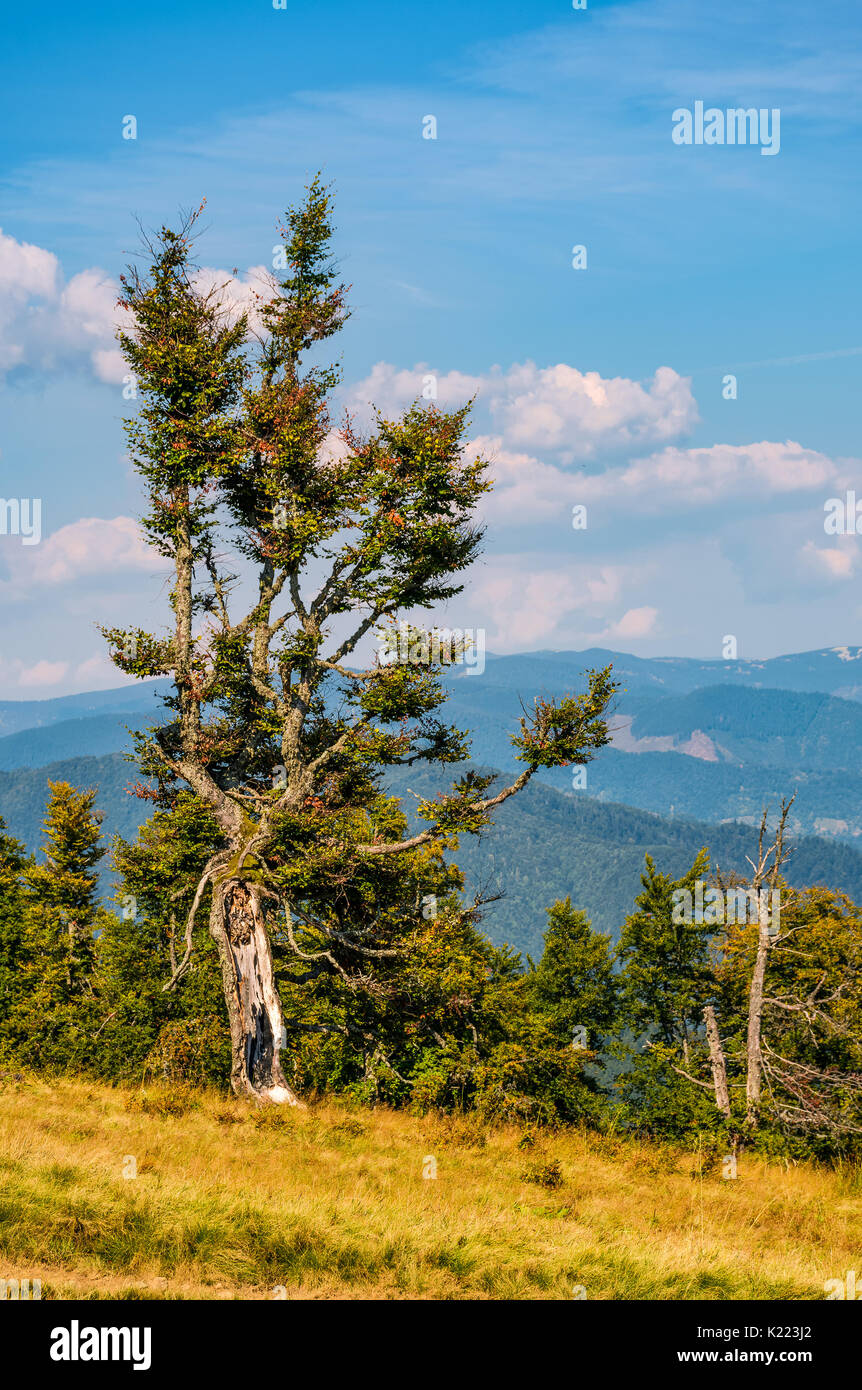 Strange scenery hi-res stock photography and images - Alamy