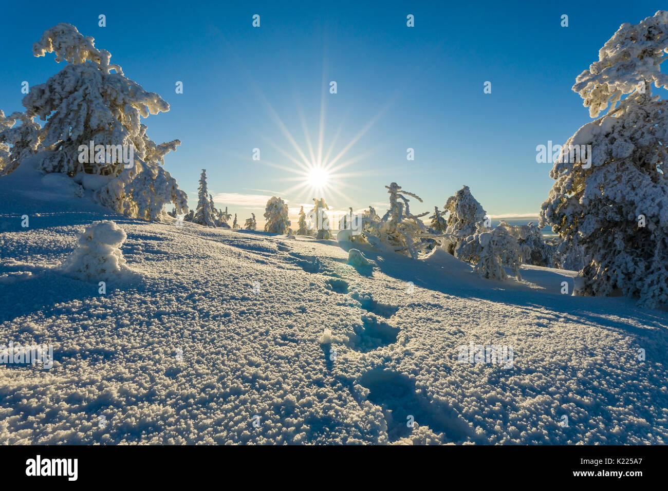 Beautiful Winter landscape in Lapland in Northern Finland Stock Photo ...