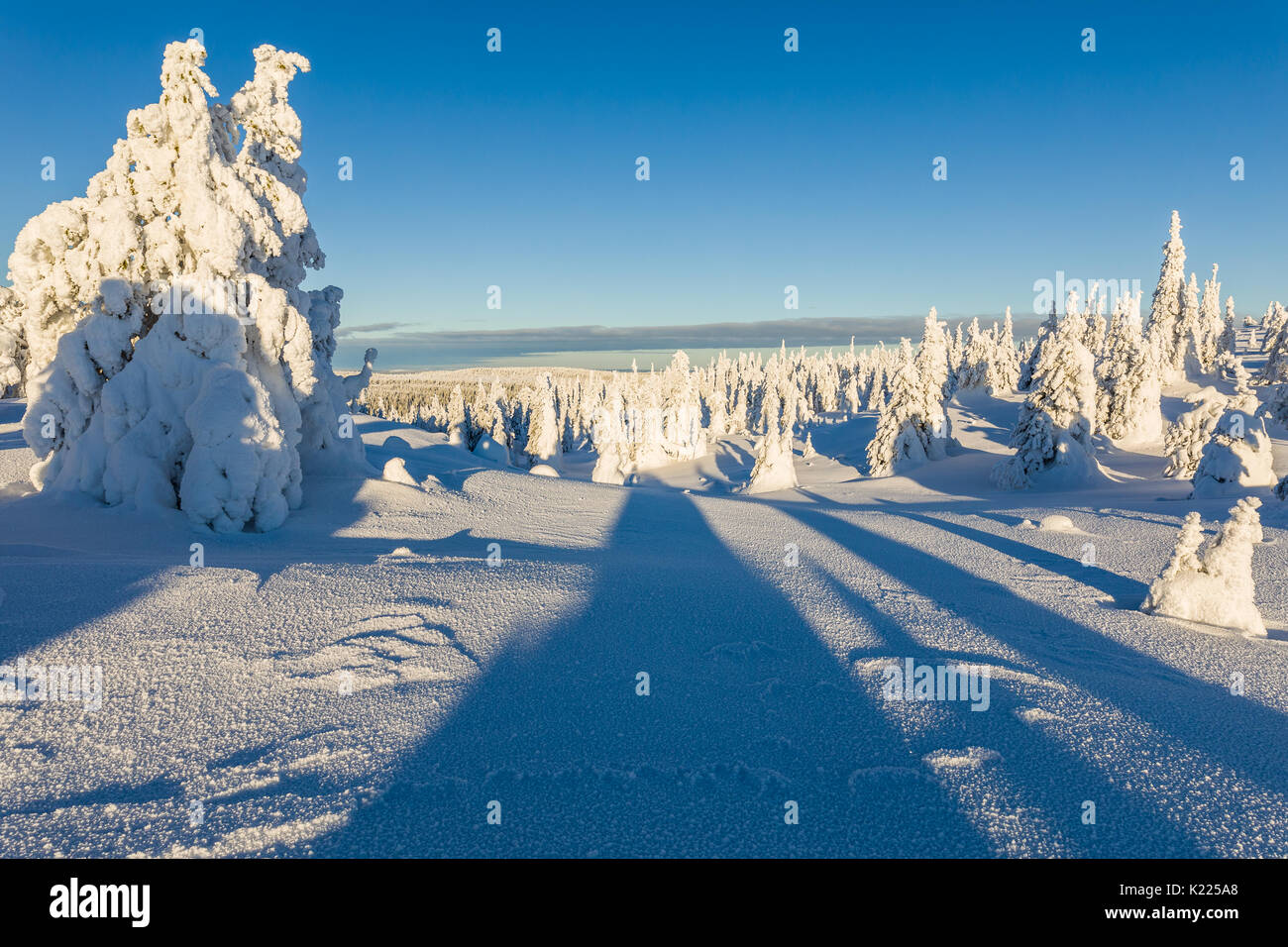 Beautiful Winter landscape in Lapland in Northern Finland Stock Photo ...