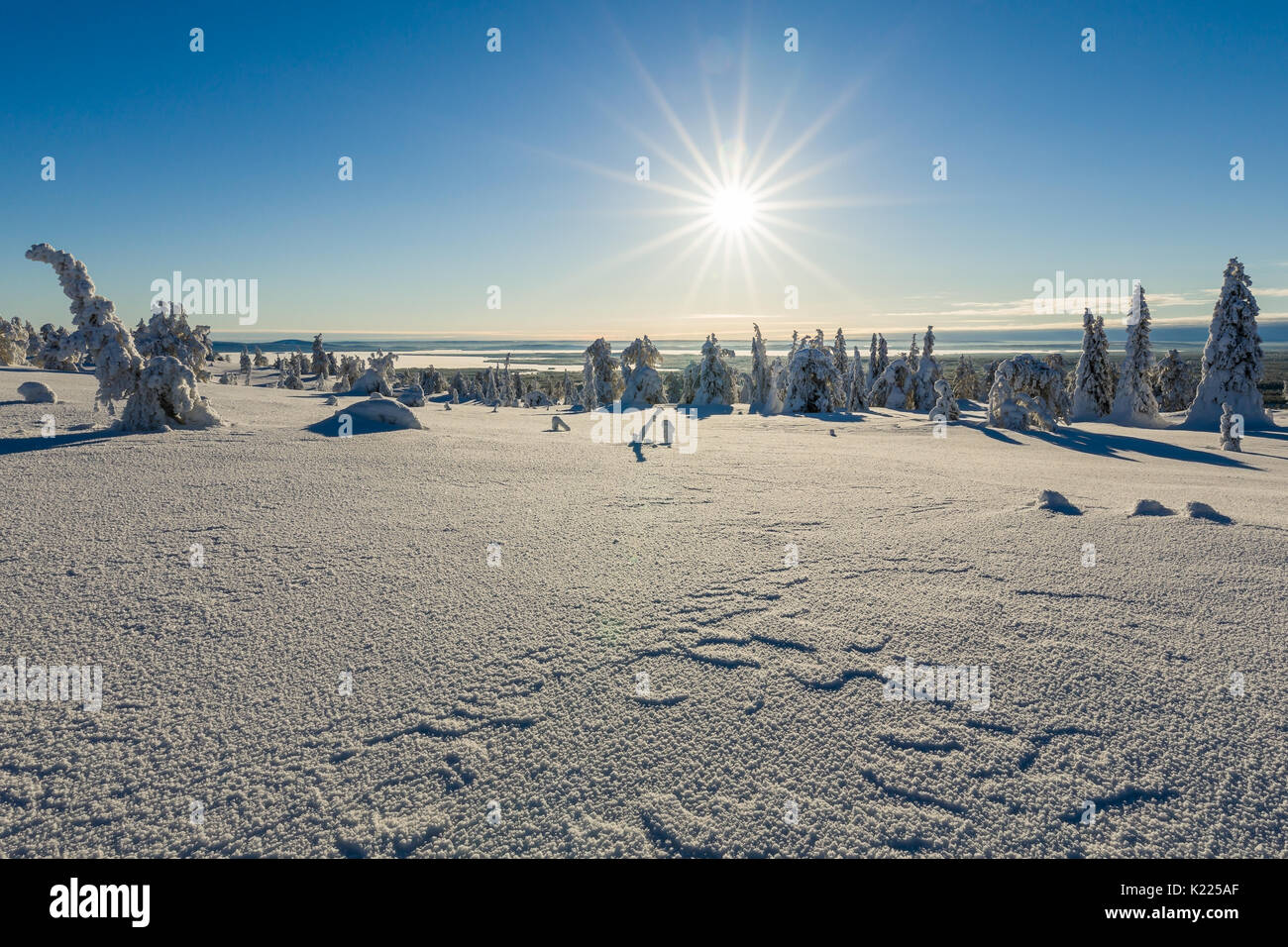 Beautiful Winter landscape in Lapland in Northern Finland Stock Photo ...