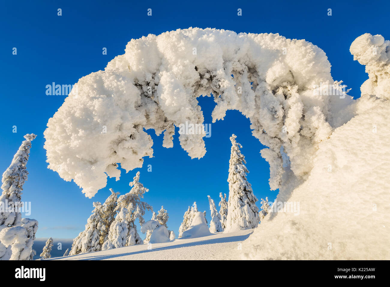 Beautiful Winter landscape in Lapland in Northern Finland Stock Photo ...