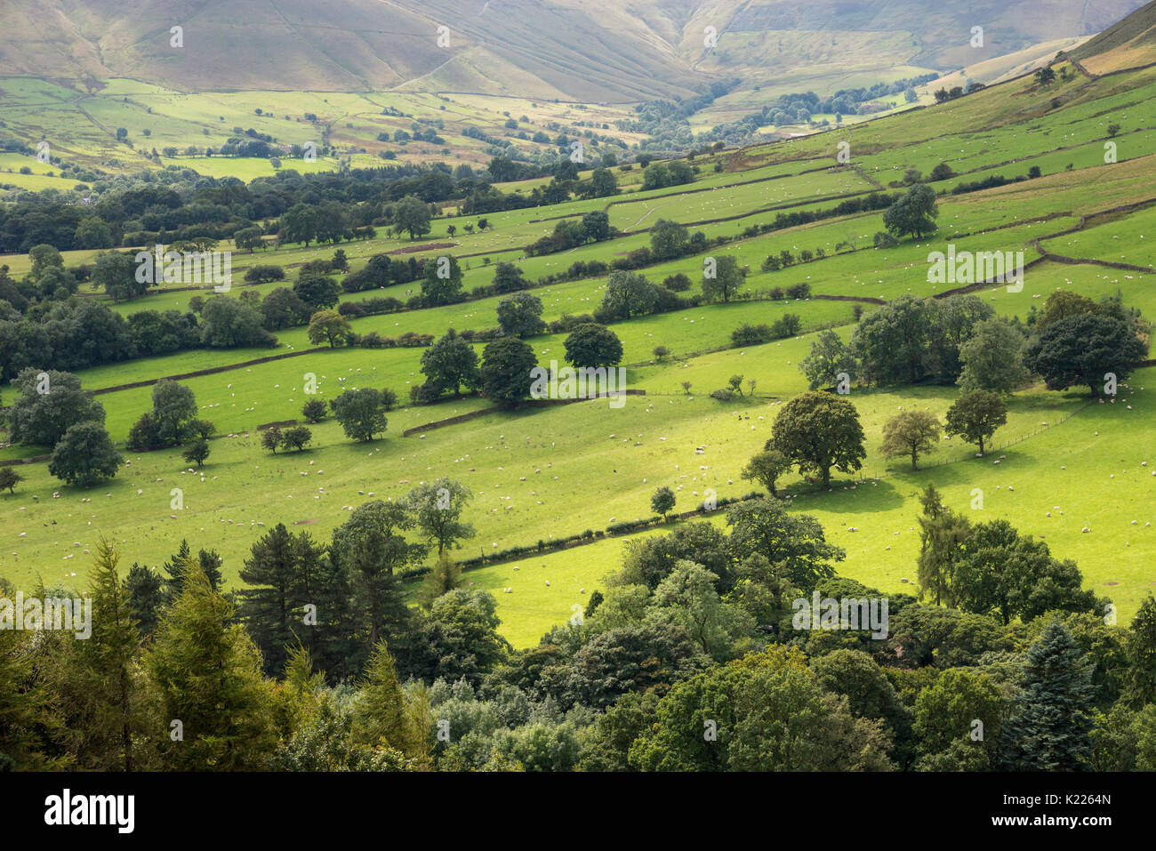 Fields in derbyshire england hi-res stock photography and images - Alamy