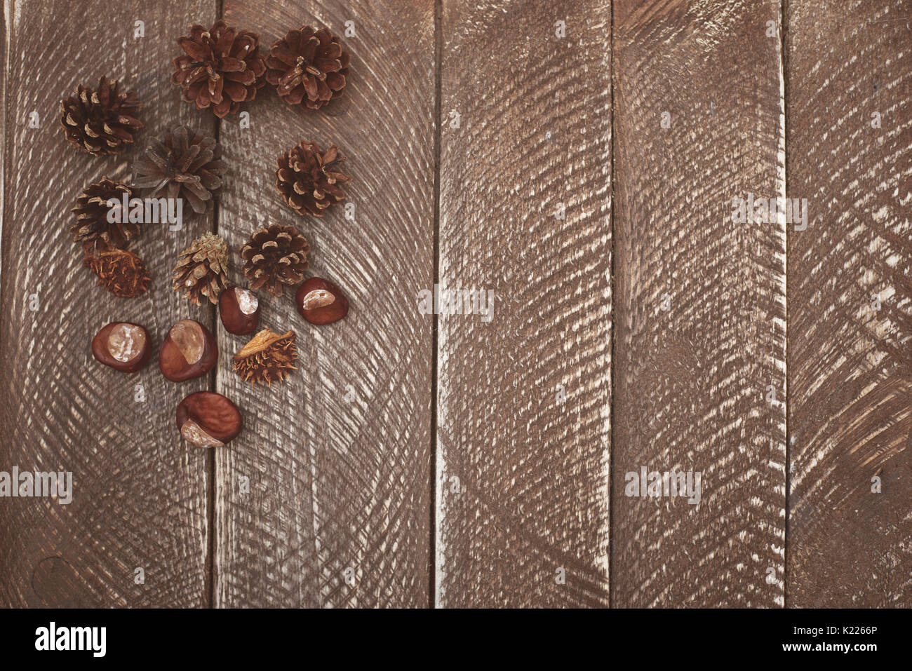 Simple composition of natural elements Stock Photo - Alamy