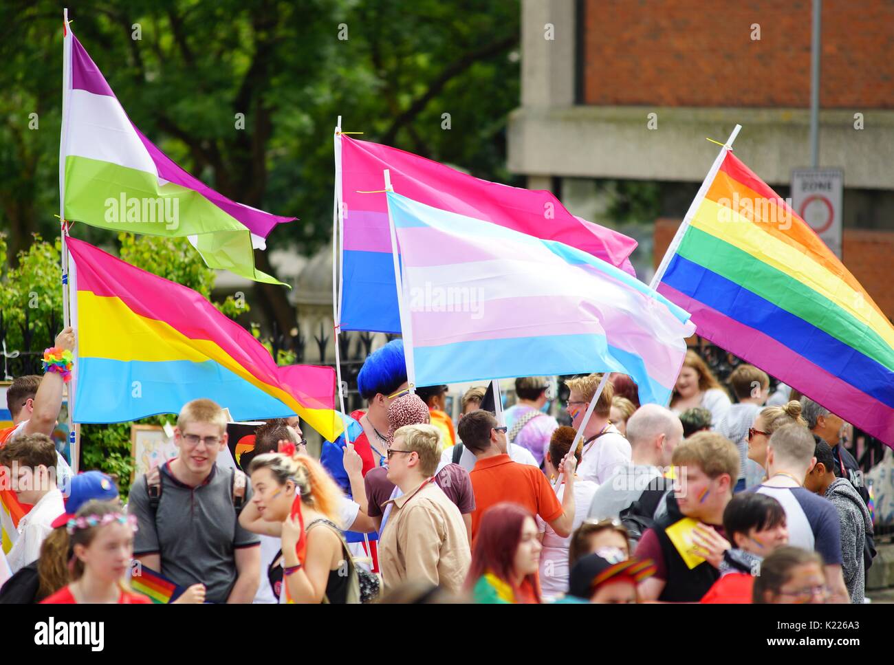 Gender & Sexuality diversity flags including Rainbow LGBT, Transgender, Bisexual, Pansexual ...