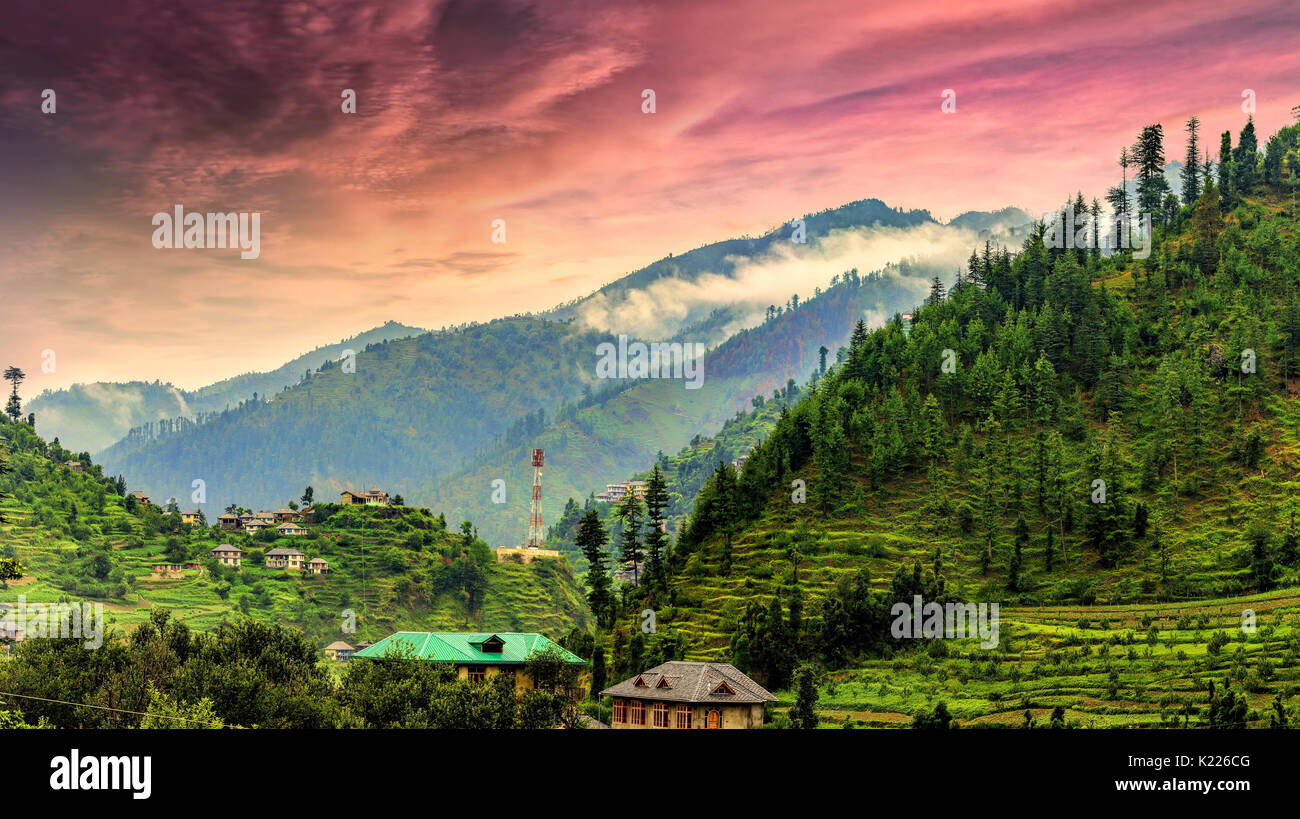 Beautiful scenic deep tropical forest / jungle of Janjehli, Himalayas ...
