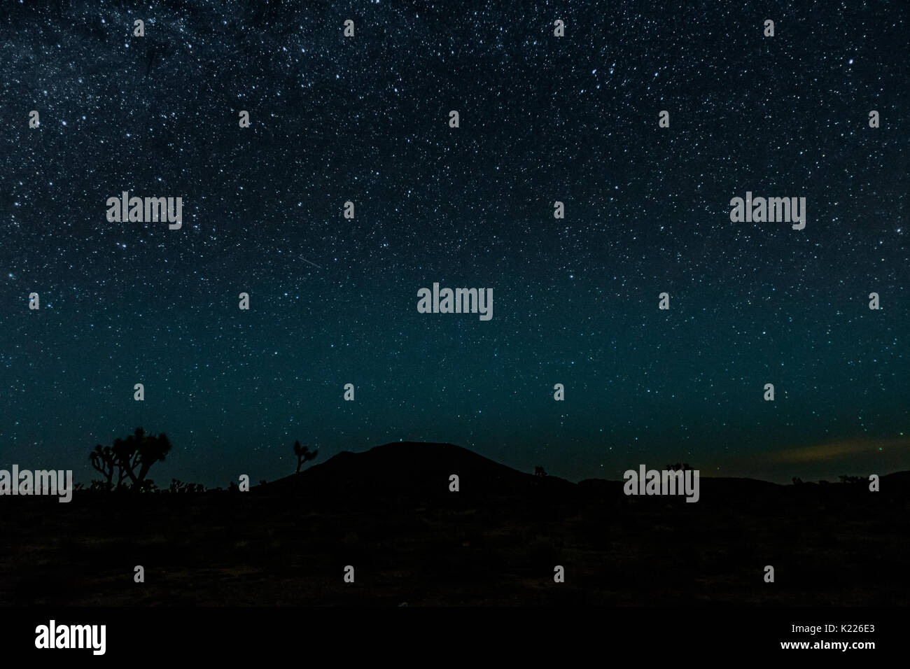 Bright Stars over Joshua Tree Desert Scene Stock Photo - Alamy