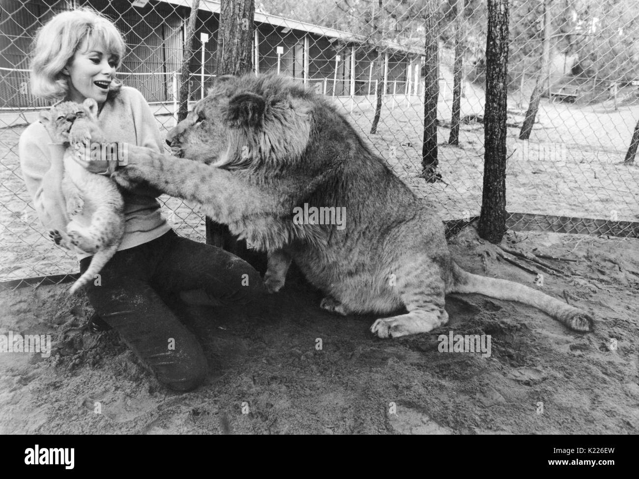 Actress 1960s hi-res stock photography and images - Alamy