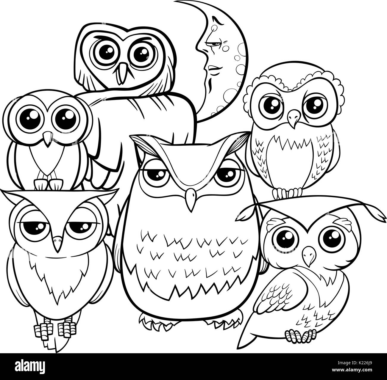 Owl Black And White Clipart
