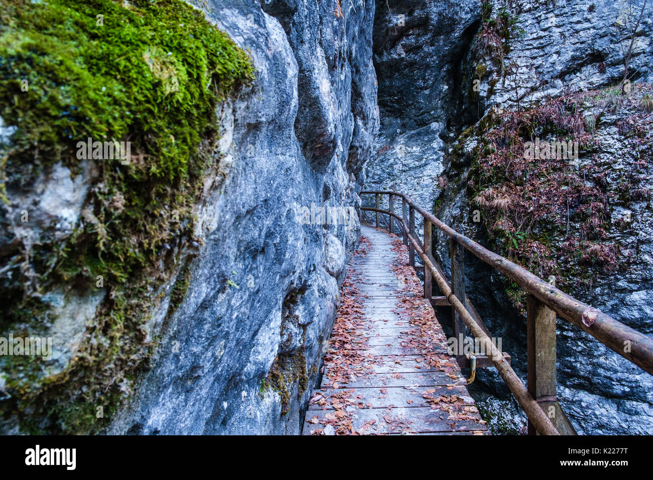 Pokljuka gorge near bled hi-res stock photography and images - Alamy