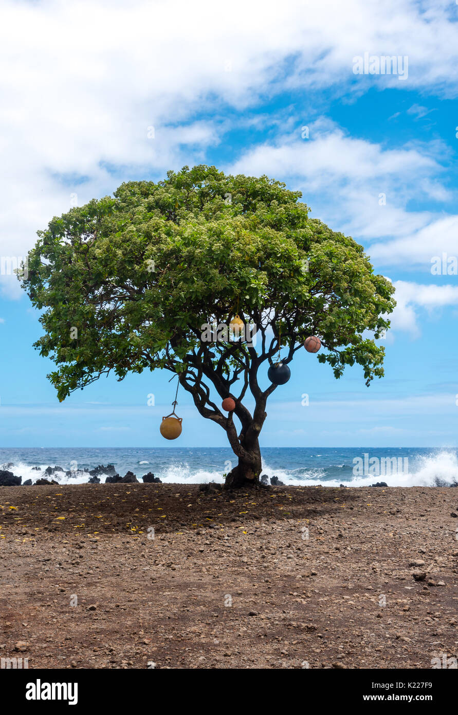 Lone point hi-res stock photography and images - Alamy