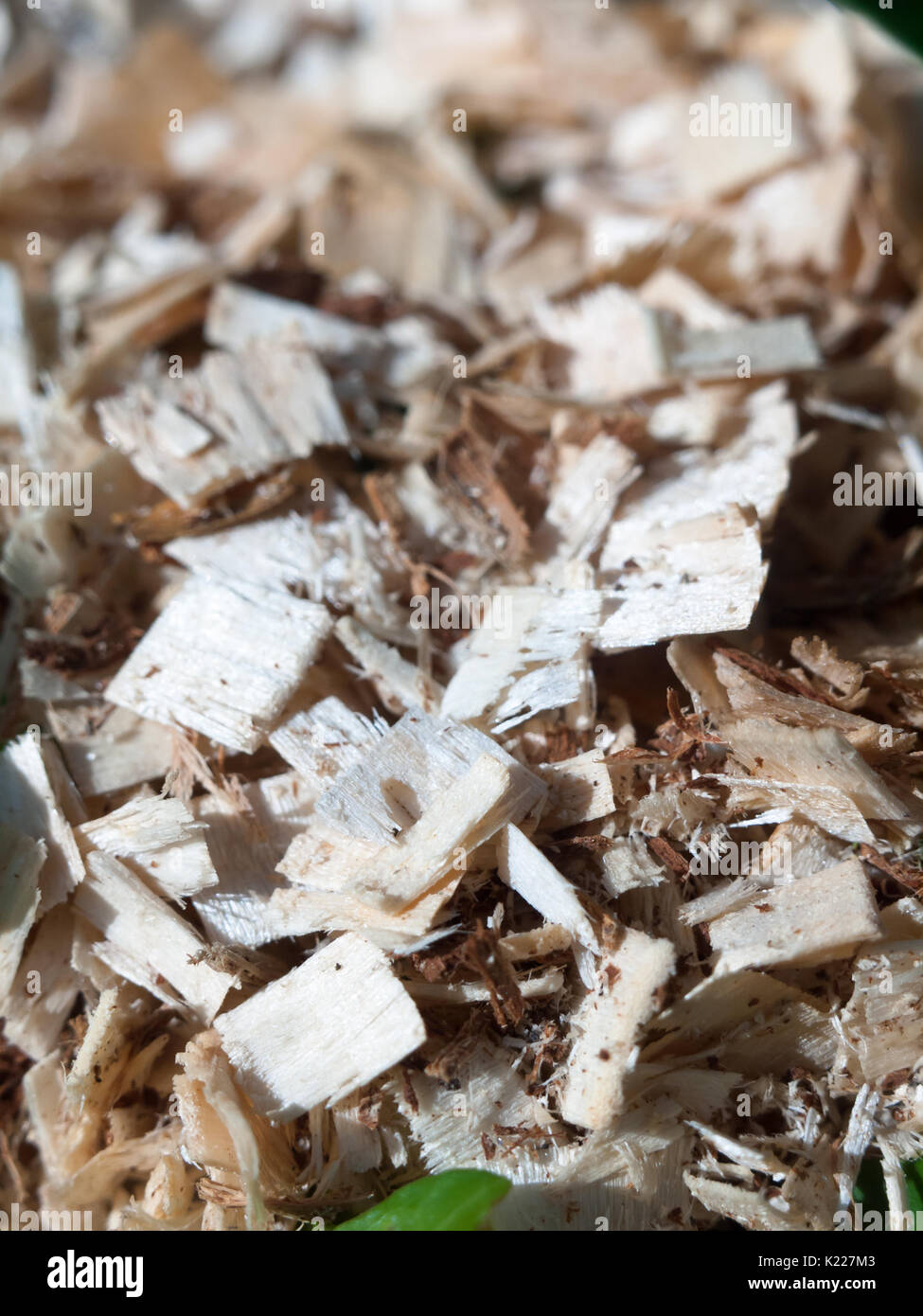 close up of wooden wood chip shavings in a pile; England; UK Stock ...
