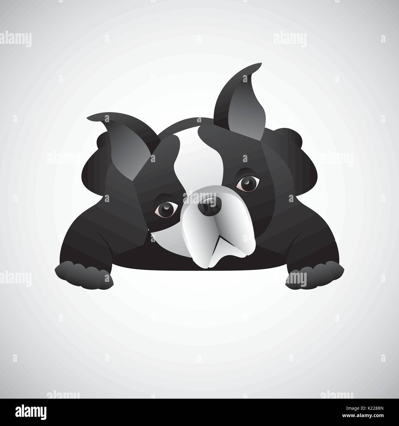 french bulldog design Stock Vector Image & Art - Alamy