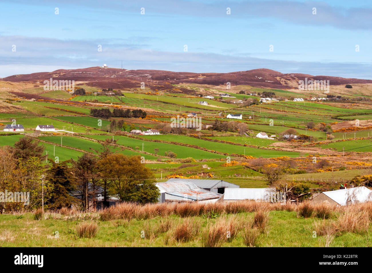 Green Fields Of Ireland High Resolution Stock Photography and Images ...
