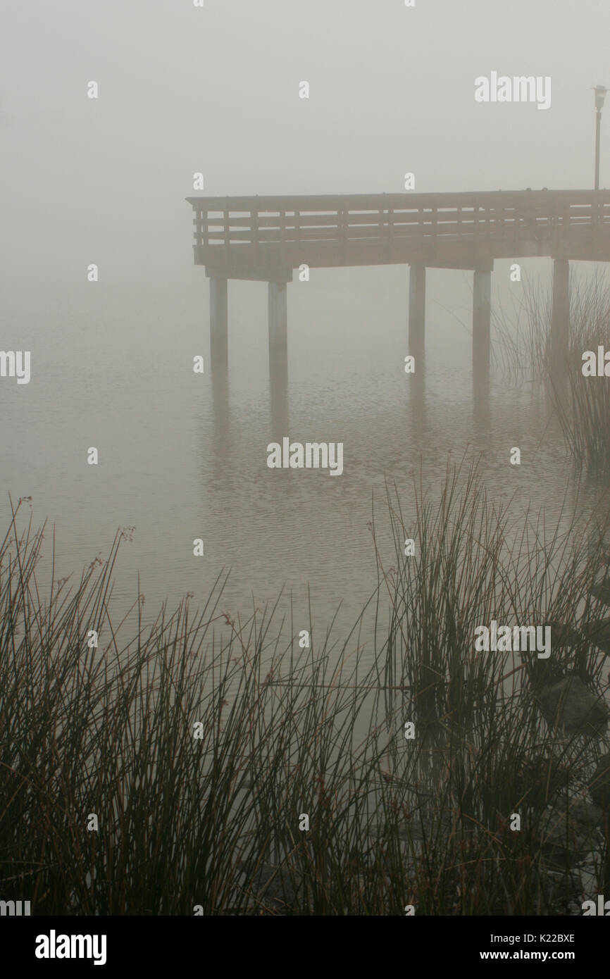 PIER AND BULL RUSHES SURROUNDED BY TULE FOG, ANTIOCH MARINA, ANTIOCH ...