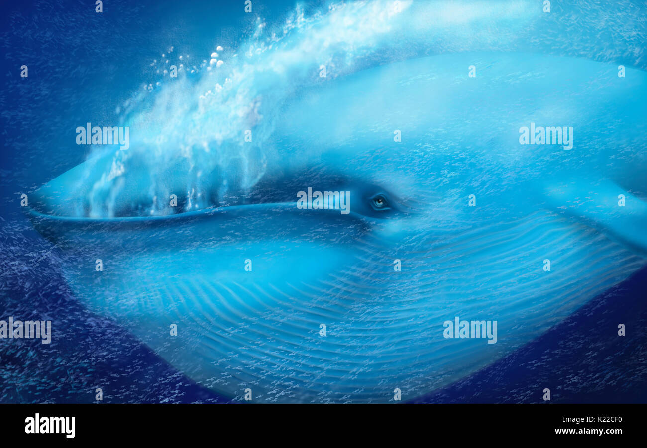 100 animals hi-res stock photography and images - Alamy