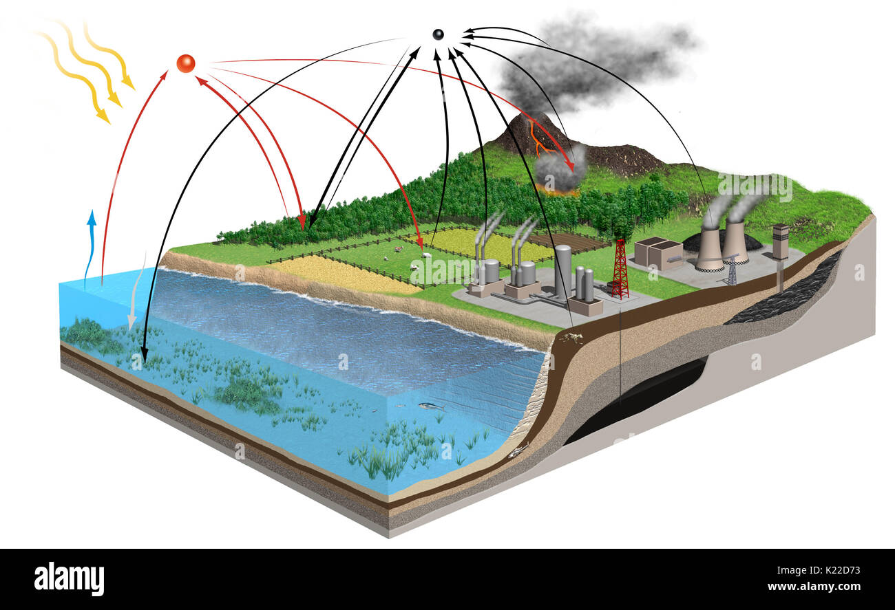 Carbon cycle earth Cut Out Stock Images & Pictures - Alamy
