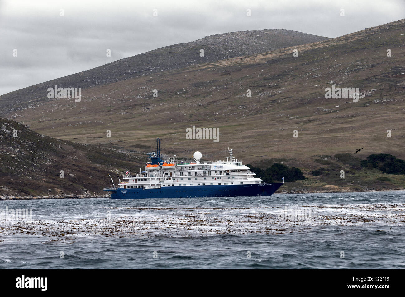 Falklands cruise hi-res stock photography and images - Alamy