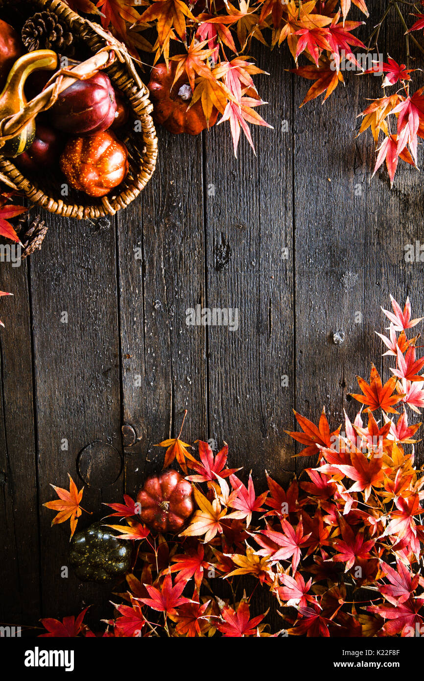 Spring wood autumn wood hi-res stock photography and images - Alamy