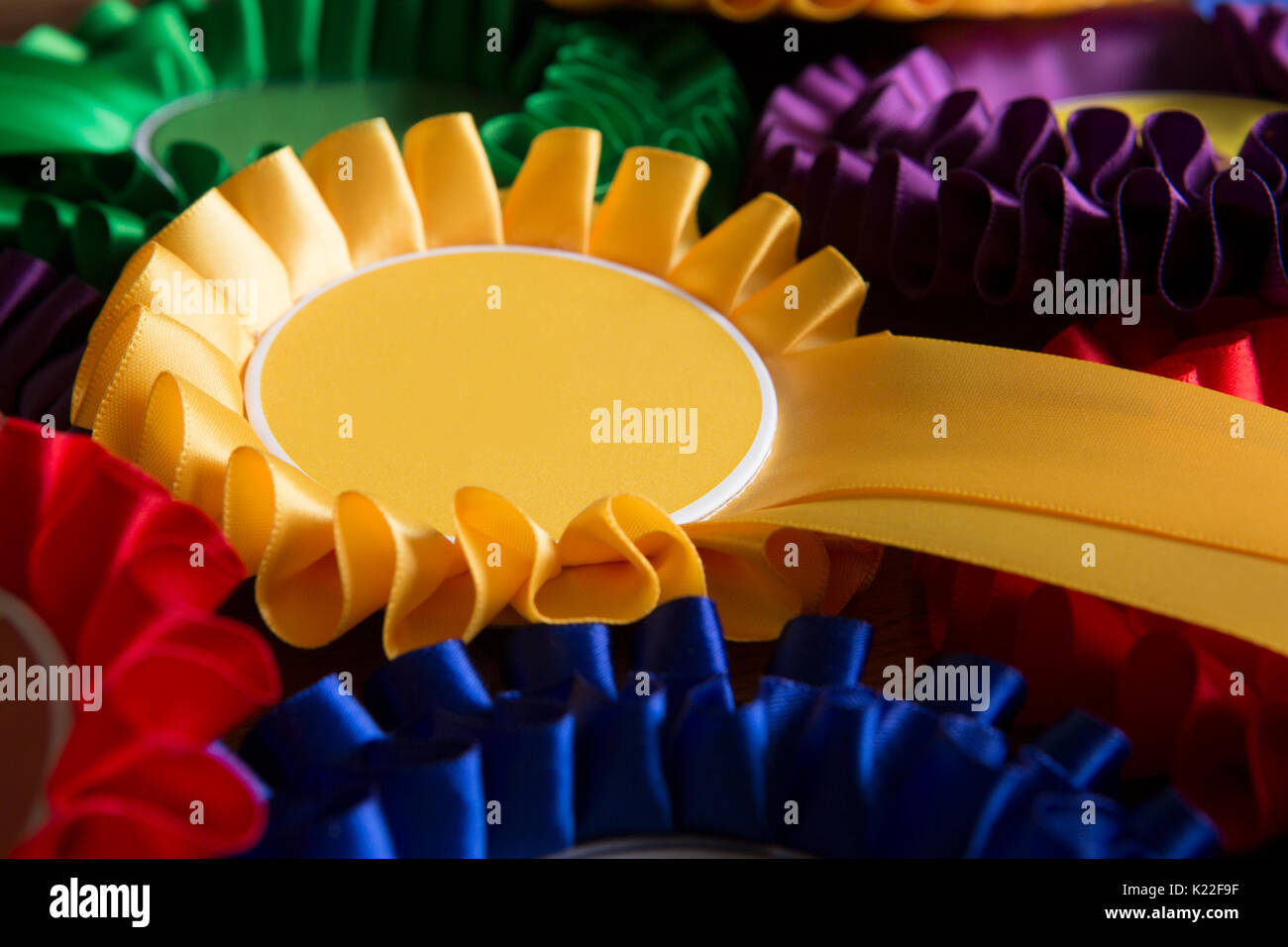 Tory blue rosette hi-res stock photography and images - Alamy