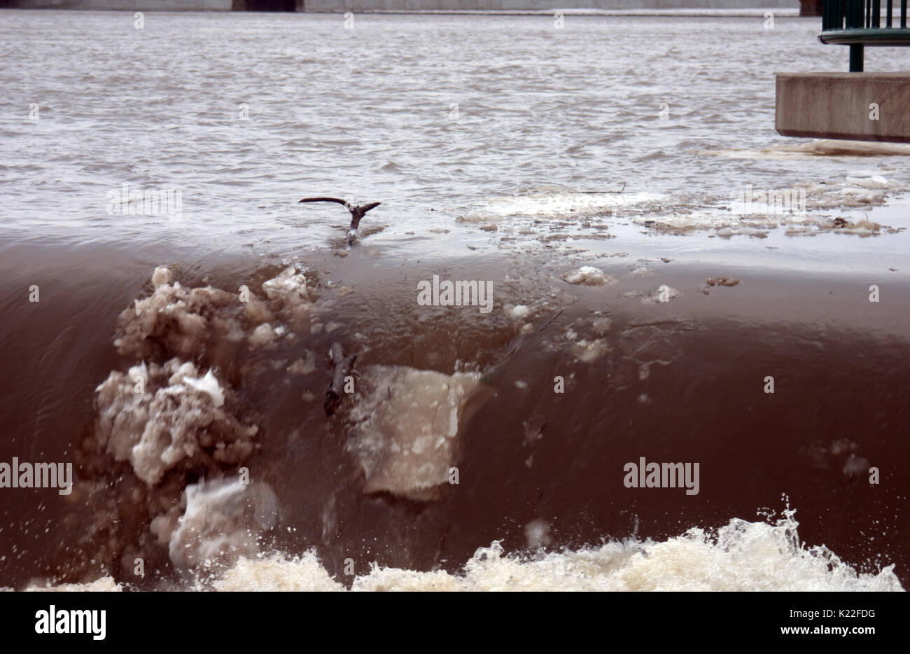 High water going over a dam in the Grand River during a winter storm ...