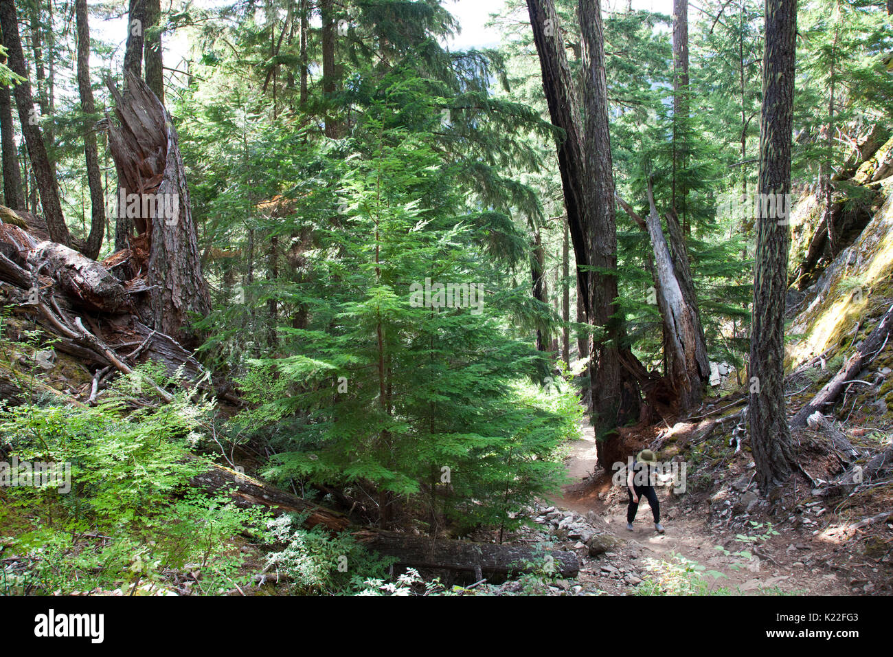 Dam trail hi-res stock photography and images - Alamy