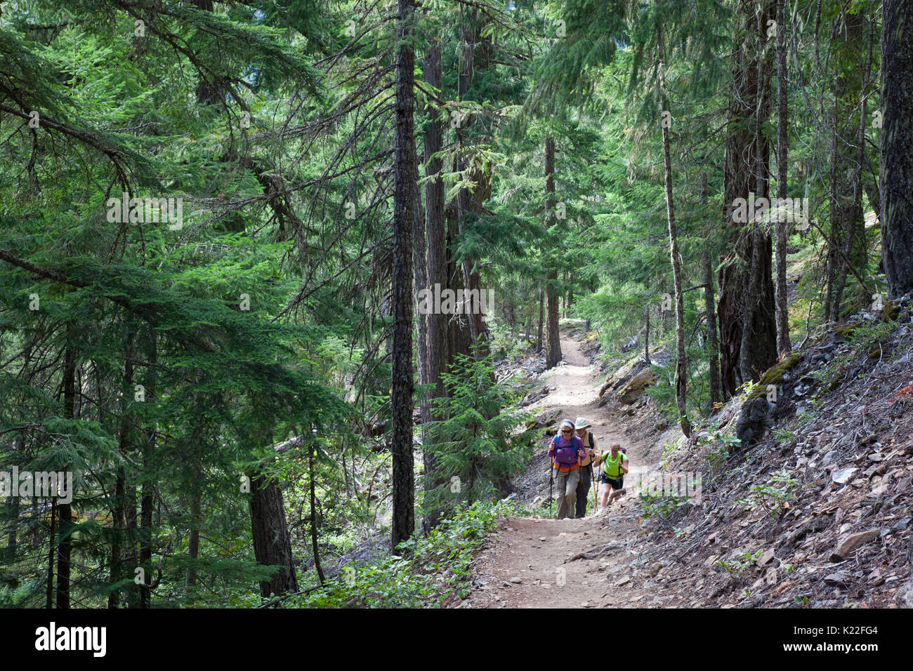 Ross Dam Trail, State of Washington, USA, America Stock Photo - Alamy