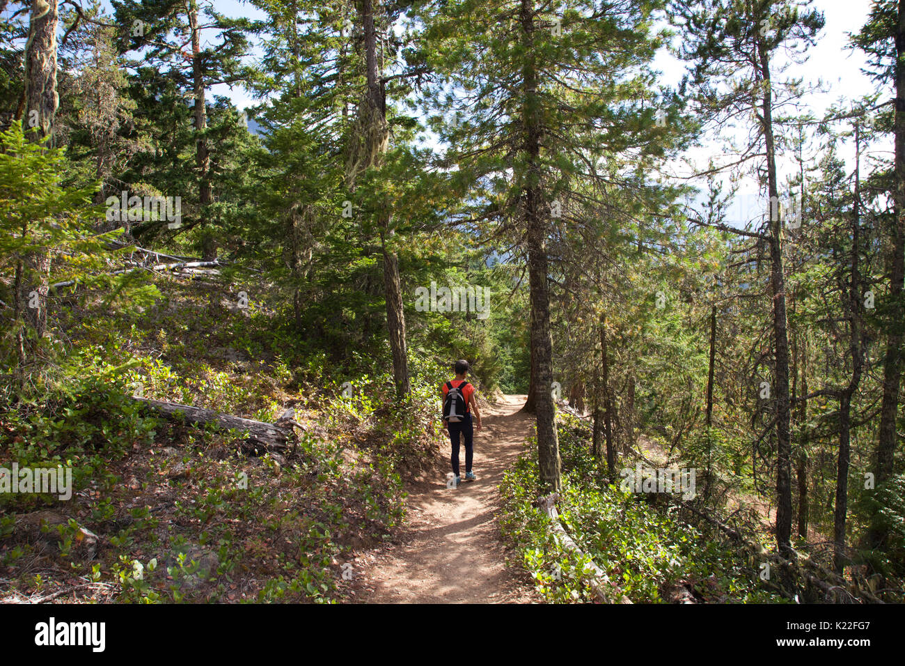 Ross Dam Trail, State of Washington, USA, America Stock Photo - Alamy