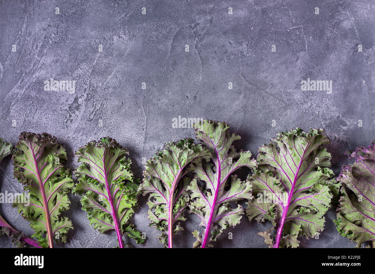 Red kale leaves or Russian kale on gray background with copy space ...