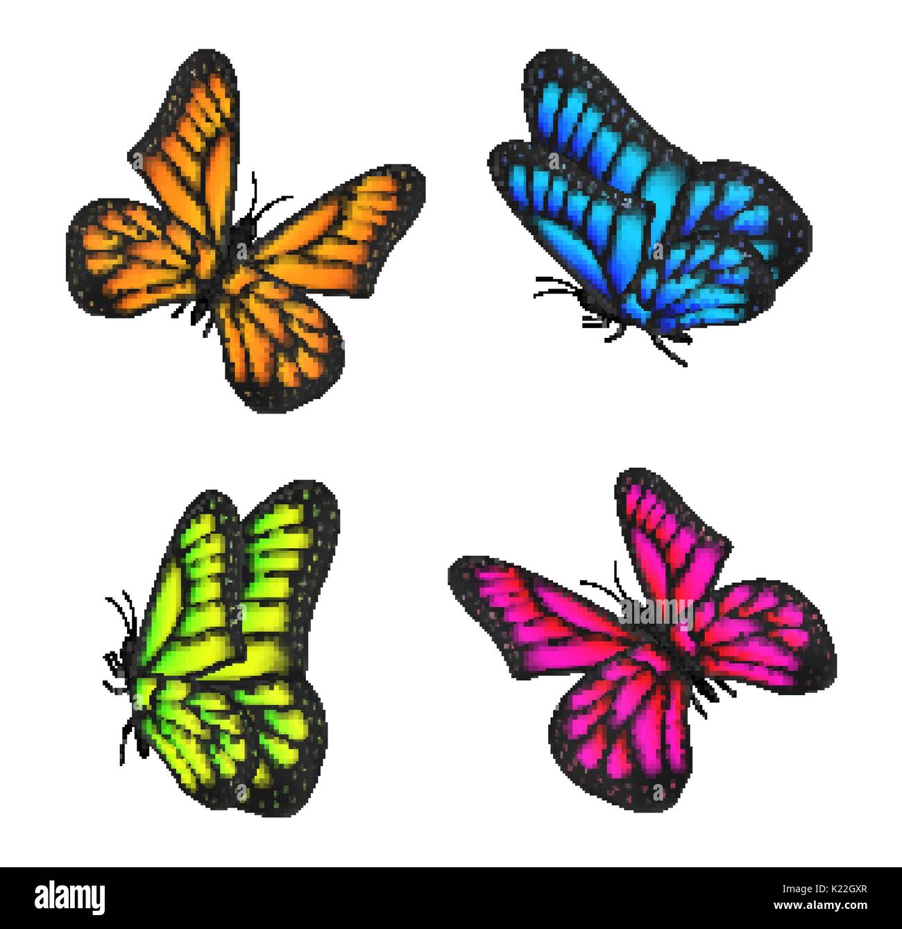 Colorful Butterflies Flying