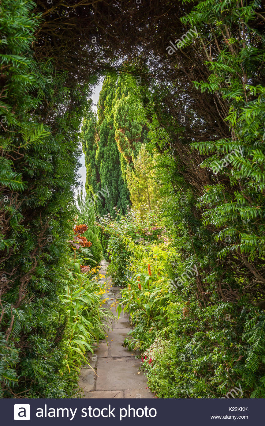 Yew Hedge With Arch Stock Photos & Yew Hedge With Arch Stock Images - Alamy