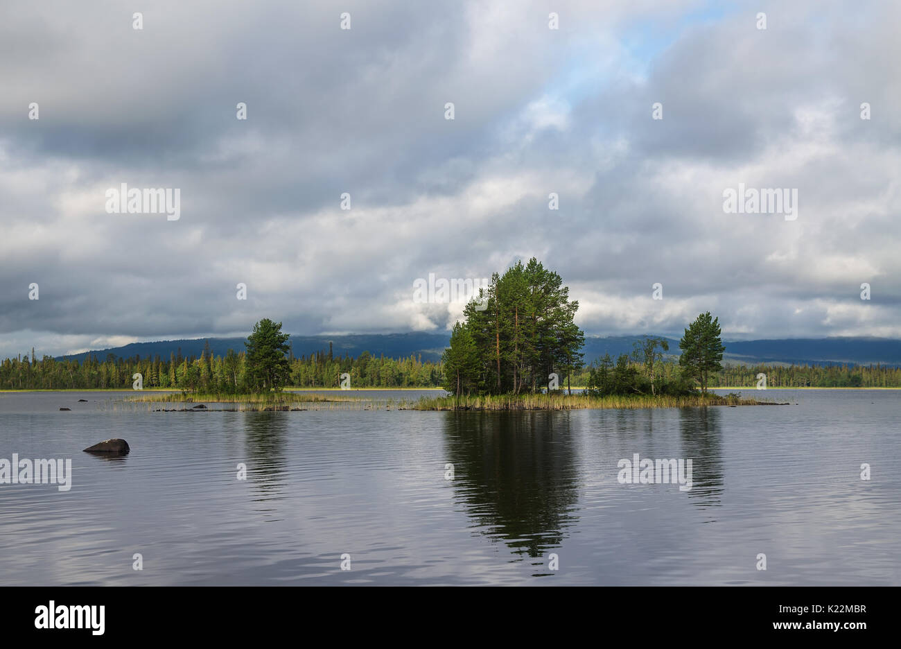 Wooded shore of a large lake. Forests along the coast. Kola Peninsula ...