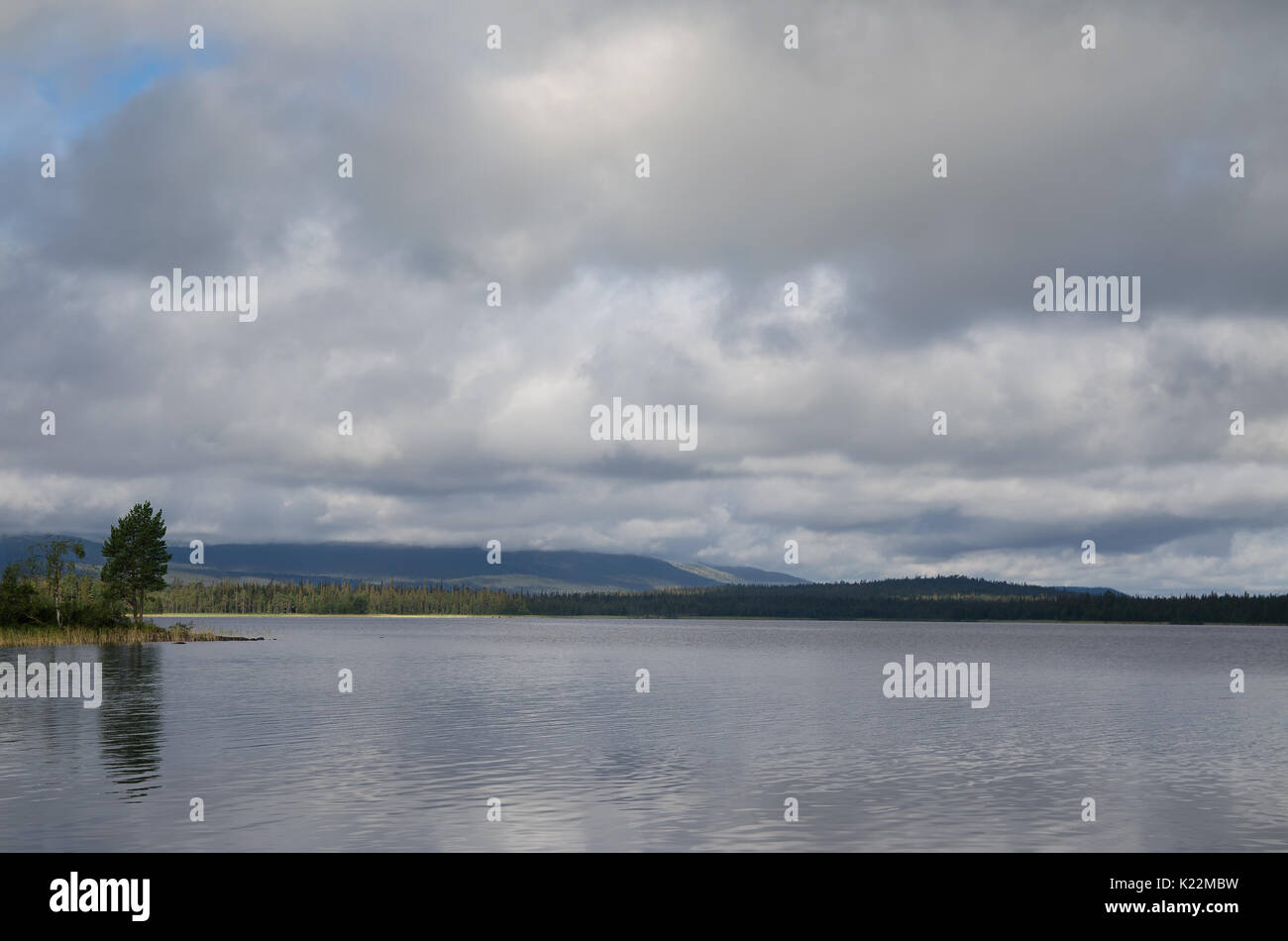 Wooded shore of a large lake. Forests along the coast. Kola Peninsula ...