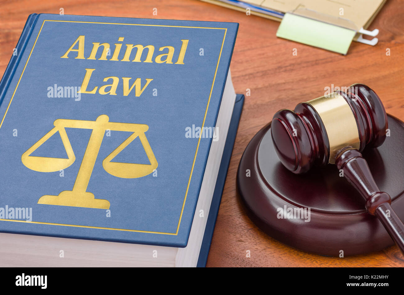 A law book with a gavel - Animal law Stock Photo - Alamy