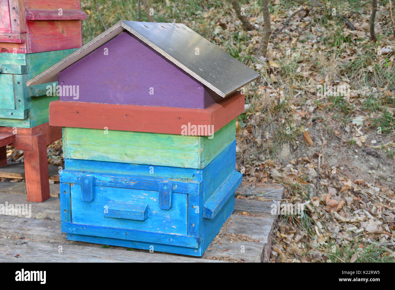 A colorful beehive Stock Photo - Alamy