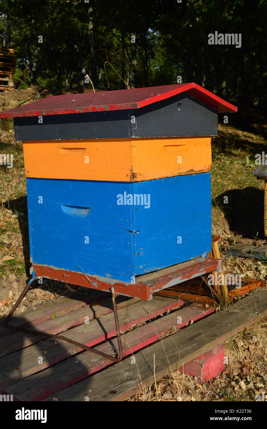 A colorful beehive Stock Photo - Alamy